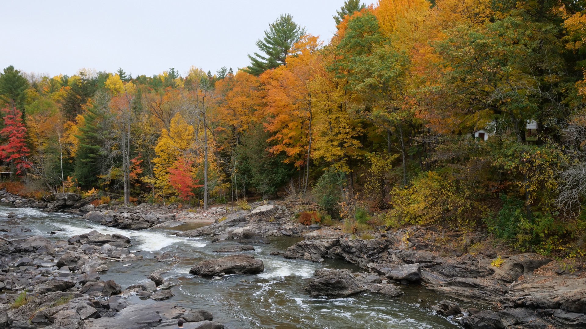 Land Acknowledgement - RFECY Durham Region